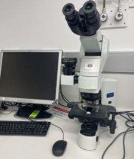 Olympus BX41 Upright Light Microscope - Centre for Microscopy and Microanalysis - University of ...